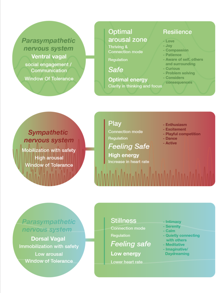 Regulated Nervous System States Infographic (Polyvagal Theory Informed ...